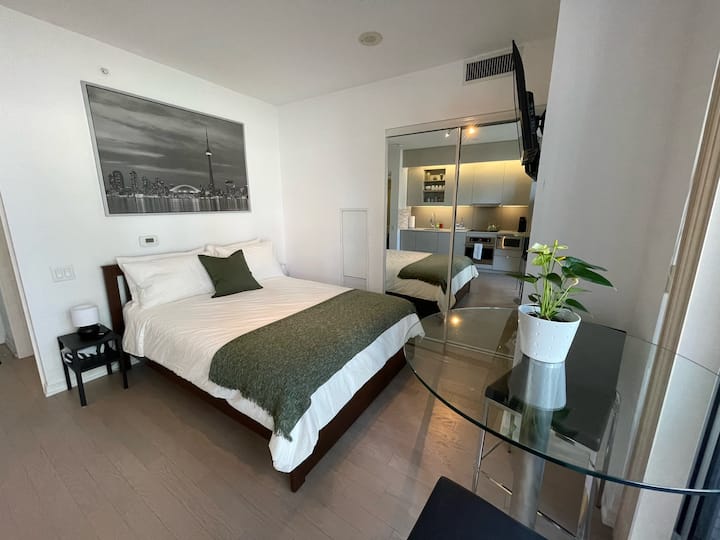 Lovely Studio Condo Walk To Subway/cn Tower/kingst - Toronto