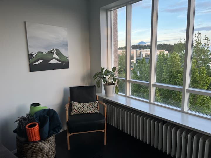 Central 3-bedroom Family Home With Free Parking - Reykjavik