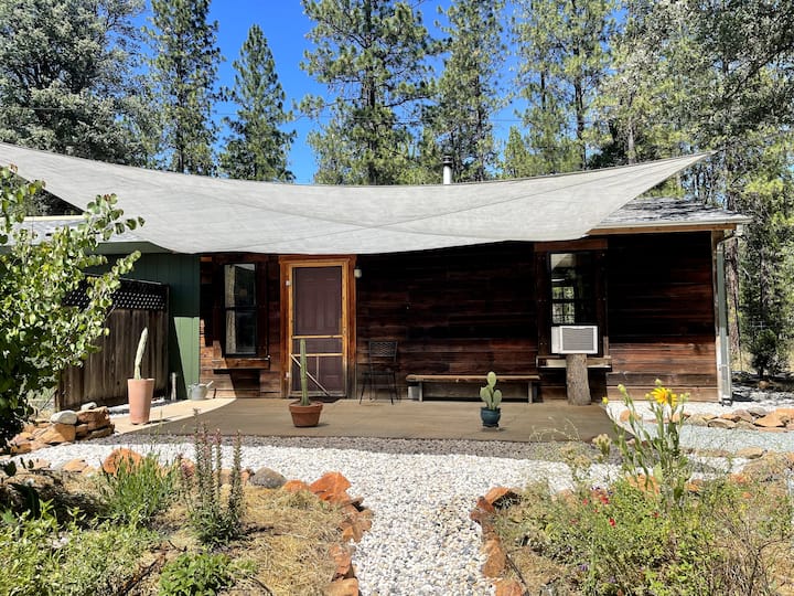Tranquil Sierra Foothill Cabin In The Forest. - Empire, MI