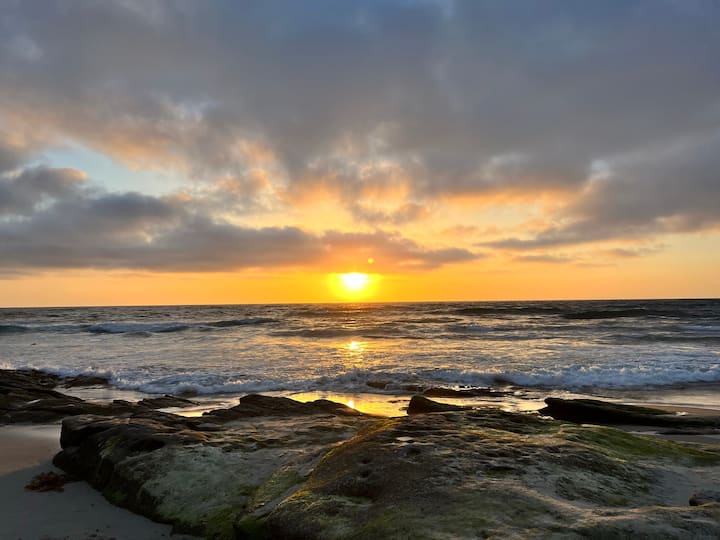Cozy 1 Bedroom Apartment In The Heart Of La Jolla - Torrey Pines - San Diego