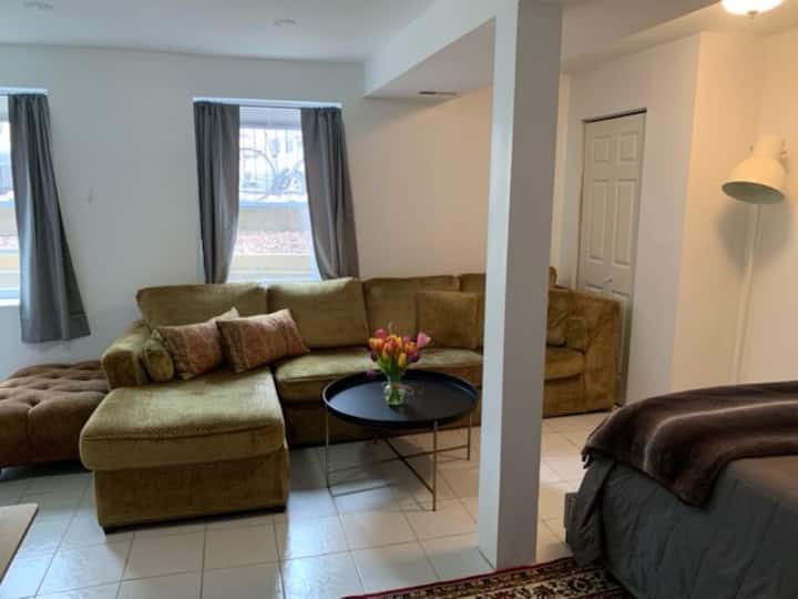 Bucktown Garden Suite 7 Min Walk To Train - Loyola - Chicago