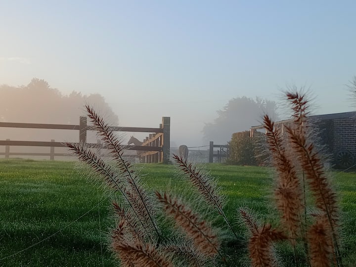 Groen, Rust, Paarden En Snuifje Boerderij-sfeer - Torhout