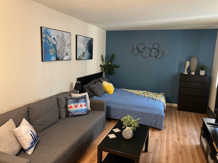 Studio In The Heart Of Lincoln Park - Chicago, IL