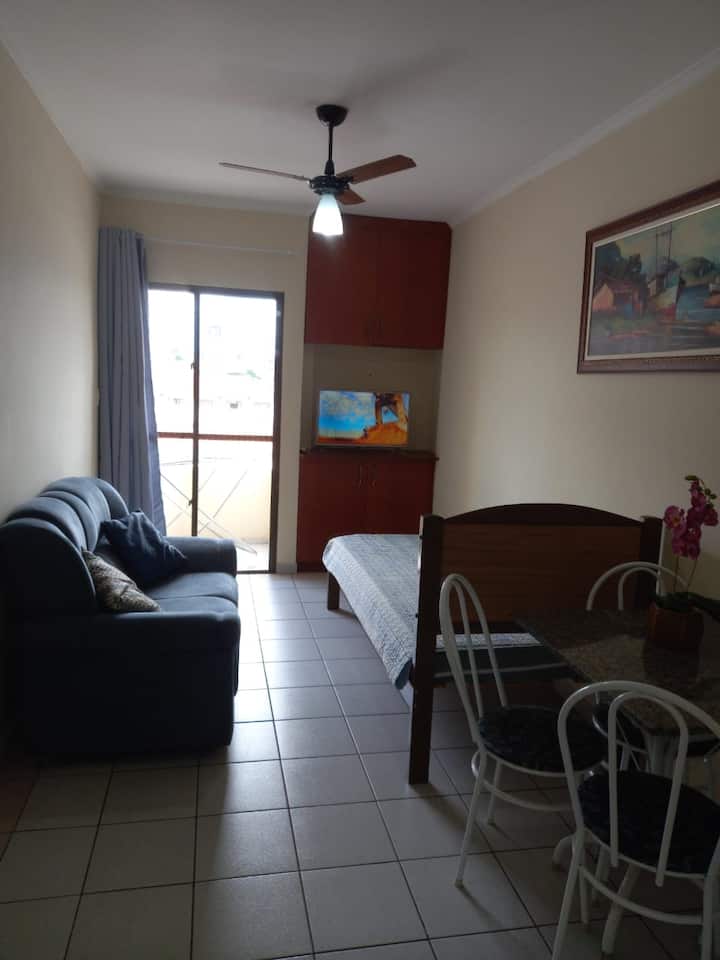 Apt. 2 Em óTima Localização Na Vila Brunhari - Bauru