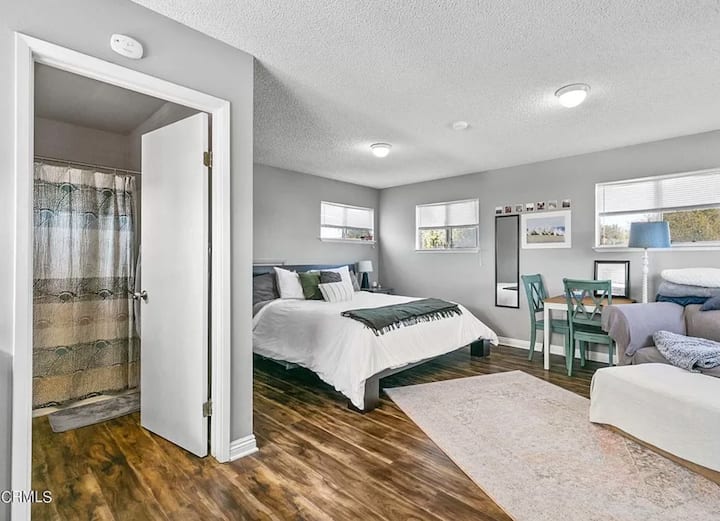 Tree-height Studio - Ventura