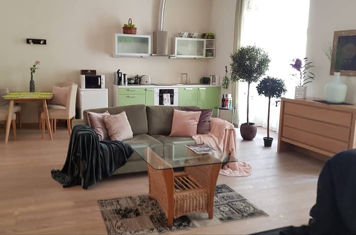 Spacious Studio Apartment In The Heart Of Old Town - Tallin