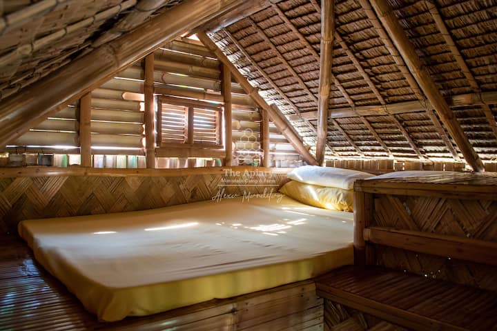 Hive At The Apiary - Tanay