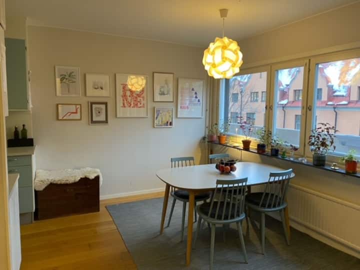 Two Floor Apartment At Södermalm - Estocolmo