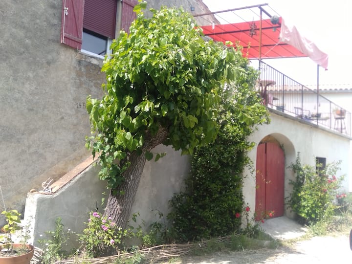 Maison Chaleureuse 70m2 à 2' à Pied De L'hérault. - Ganges