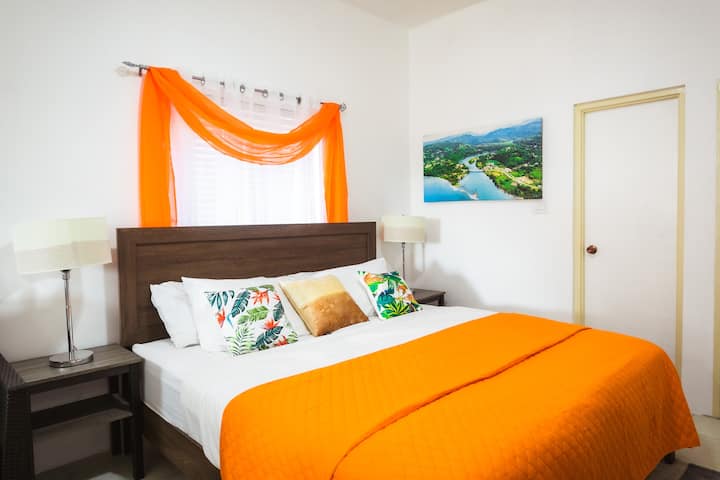 Kingston City Center Oasis (New W/king Bed!!) - Kingston