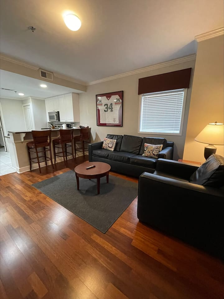 Simple, Uga Themed 2 Br Condo In Downtown (401) - Athens, GA