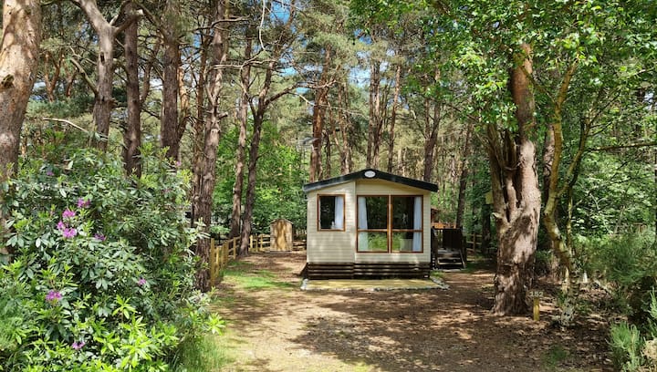 Safe Haven, Kelling Heath - Salthouse