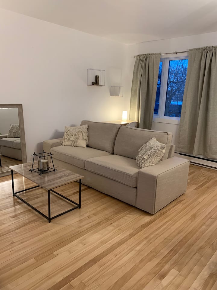Joli Condo Récemment Rénové Dans Un Coin Calme - Montreal