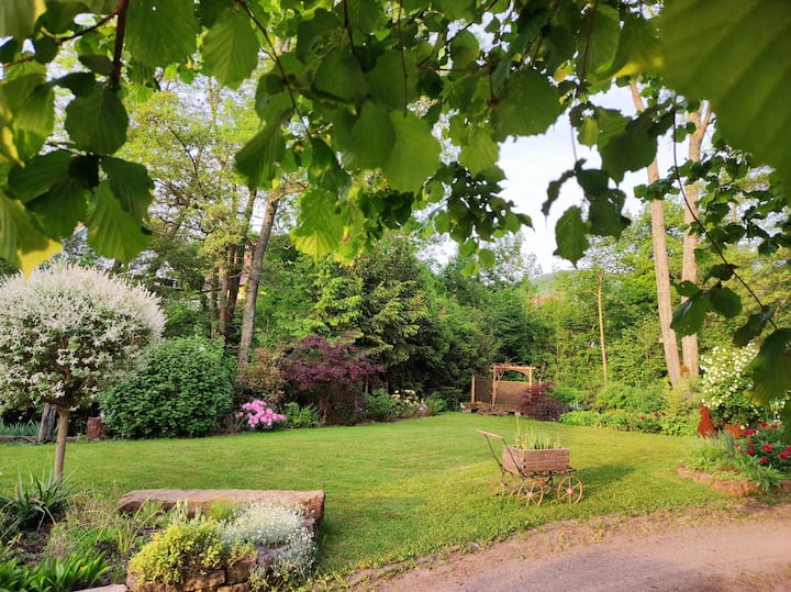 Chambre Familiale Avec Petit Déjeuner - Bas-Rhin