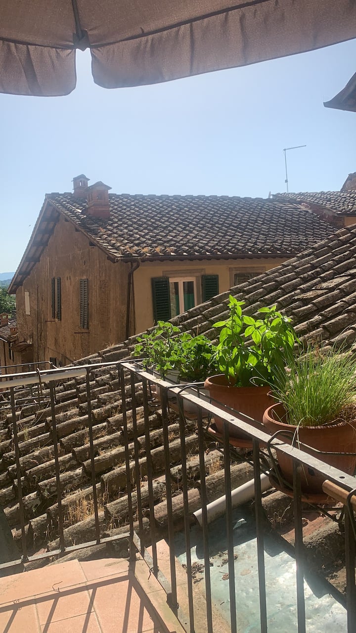 Appartamento Con Terrazza Tra I Tetti A Siena - Siena