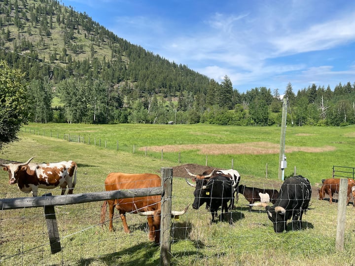 Top 4 Ranches To Stay In Kamloops, Canada | Trip101