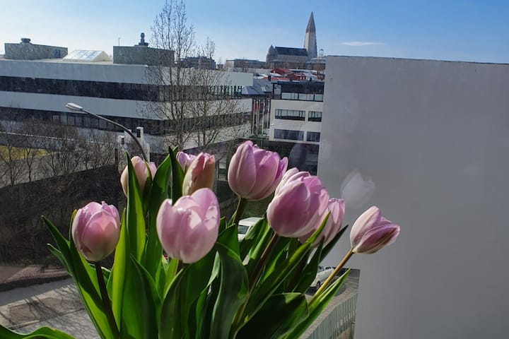 Lovely Modern 1-bedroom Apartment, Free Parking - 레이캬비크