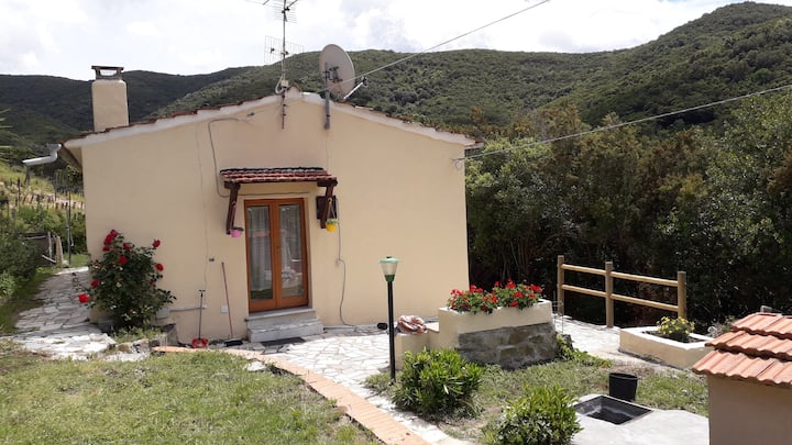 Casa Immersa Nella Macchia Mediterranea - Elba