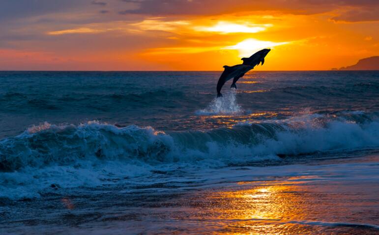 KonoVilla * Dog friendly * Best Lagoon Pool in Destin