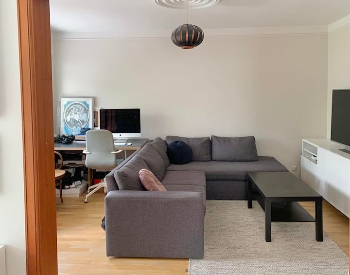 Beautiful Apartment. Near City Center And Mall - Reykjavik
