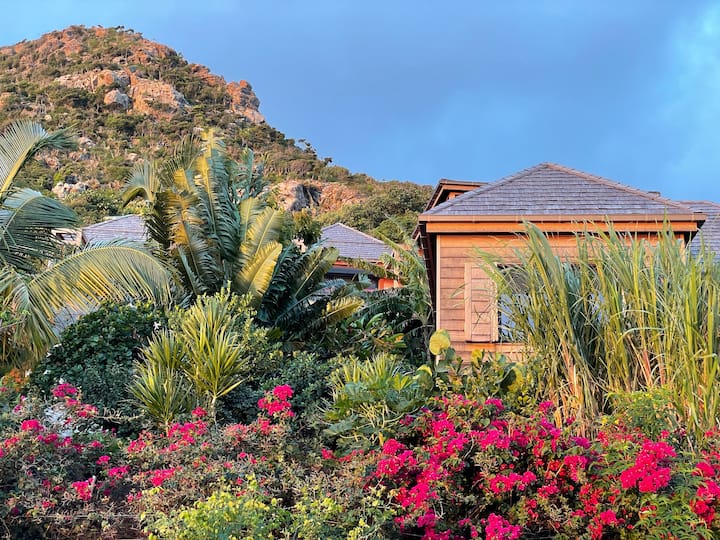 Bungalow Serenity, Confort éCo-responsable - Saint-Barthélemy
