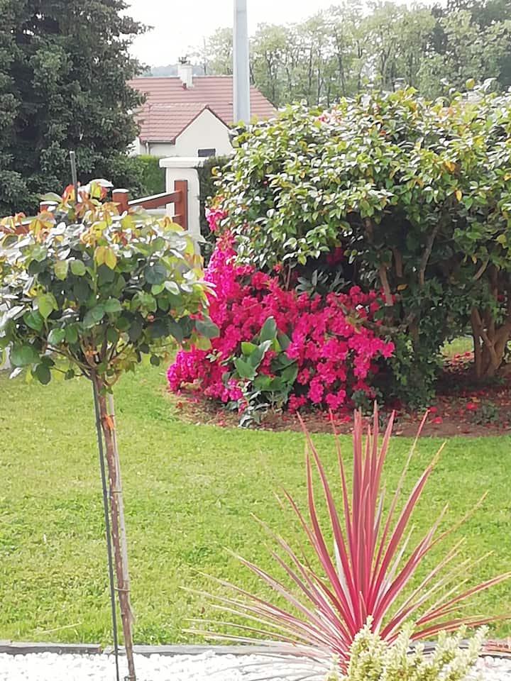 Chambre D'hôtes - Le Mans