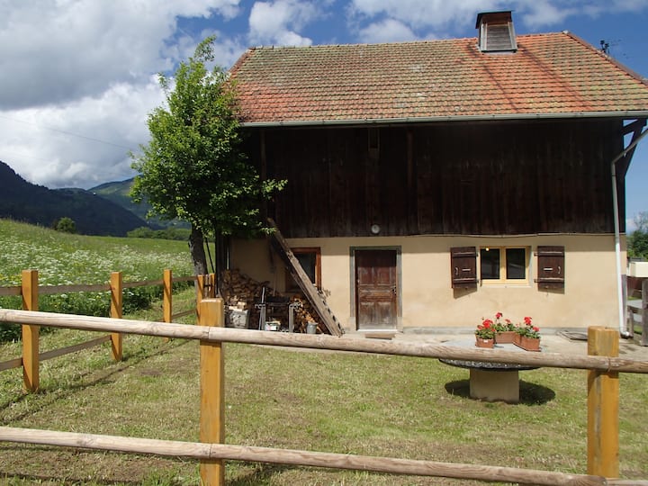 Chalet Charmant Sur Les Pistes De Ski - Mont-Saxonnex