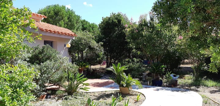 Magnifique Villa Dans Propriété Arborée Clôturée - Rivesaltes