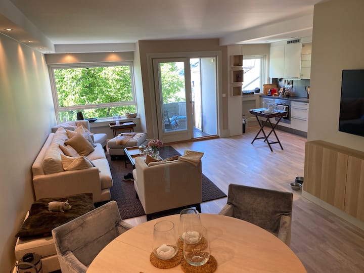 Newly Refurbished, Luxurious 2 Bed Flat, Frogner - Oslo