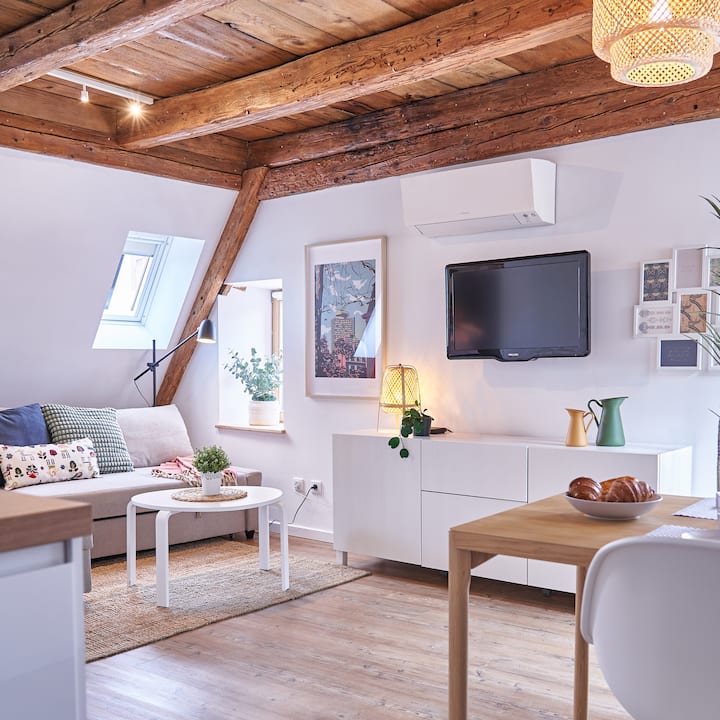 Gîte Des Victoires 4 Hyper Centre Clim Neuf - Mulhouse