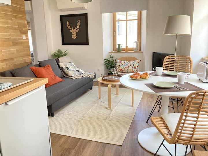 Gîte Des Victoires 3 Hyper Centre Neuf Clim - Mulhouse