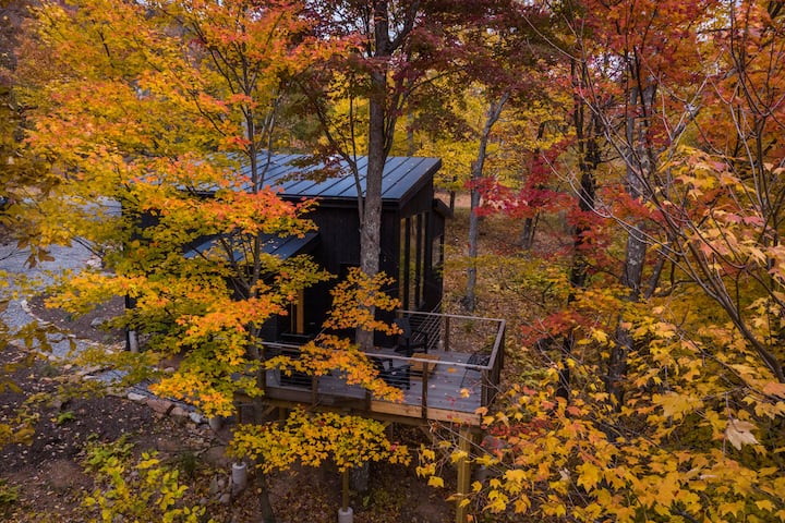 Modern Cabin In Dolly Sods W/ Sauna & Ev Charger - West Virginia