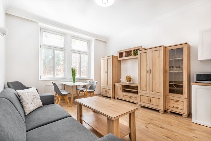 Apartment Hot Spring - Karlovy Vary