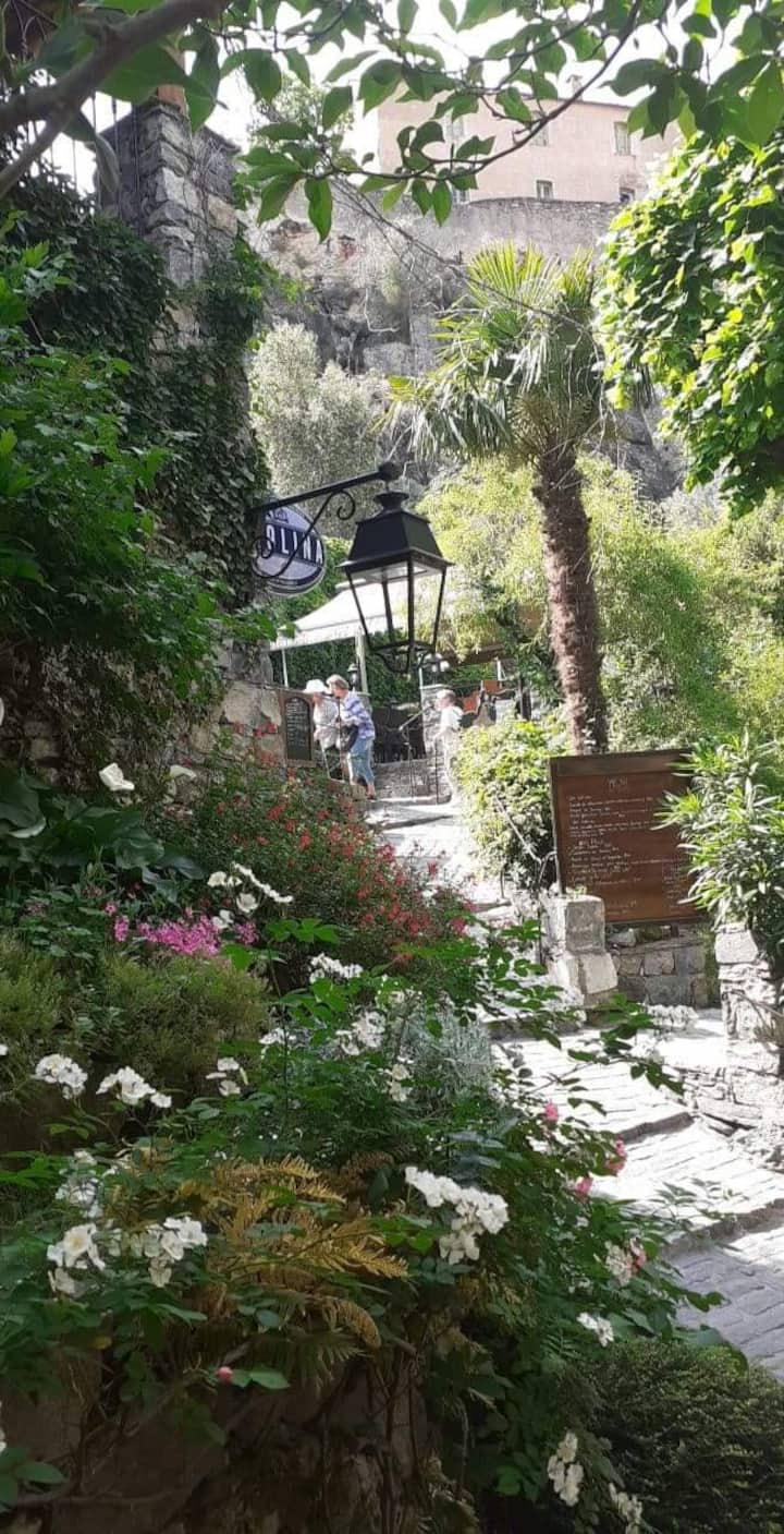 Appartement Vues Traversantes Vers Les Montagnes - Corte