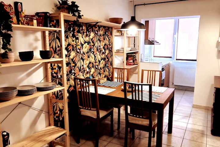 Cozy 2 Room Family Apartment In Central Constanta - Constanța
