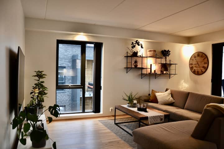 Flott Leilighet For Besøk I Oslo! - Oslo