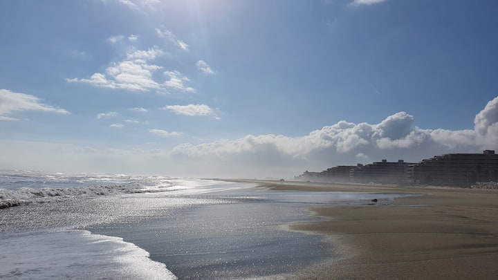 Appartement 27m2 Clim+parking Privé, Front De Mer - Canet-en-Roussillon