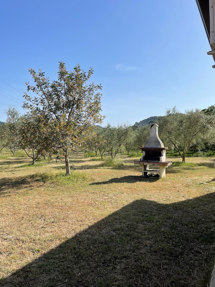 Mare E Campagna - Girasole
