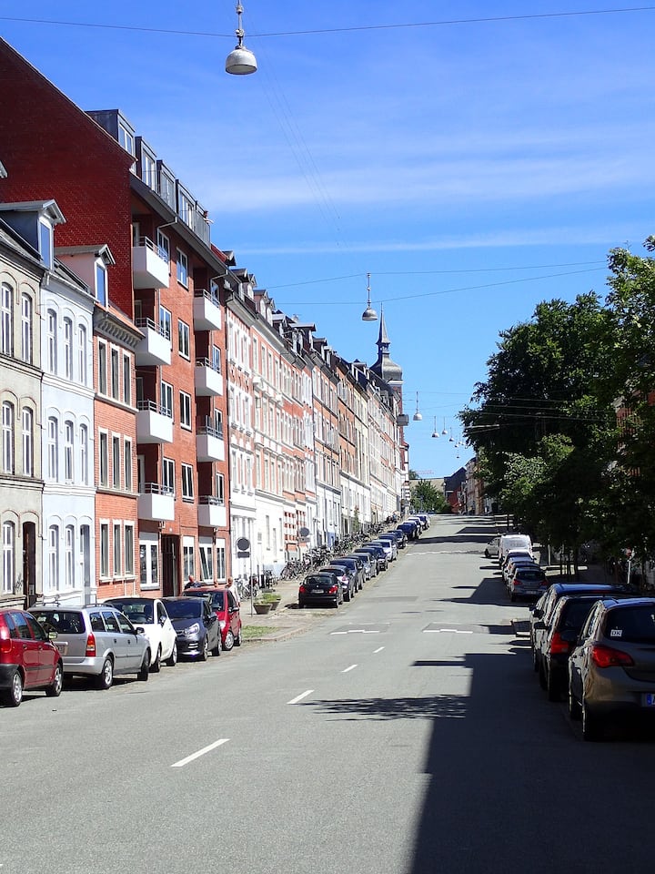 Stor Lejlighed I Roligt Kvarter - Aarhus