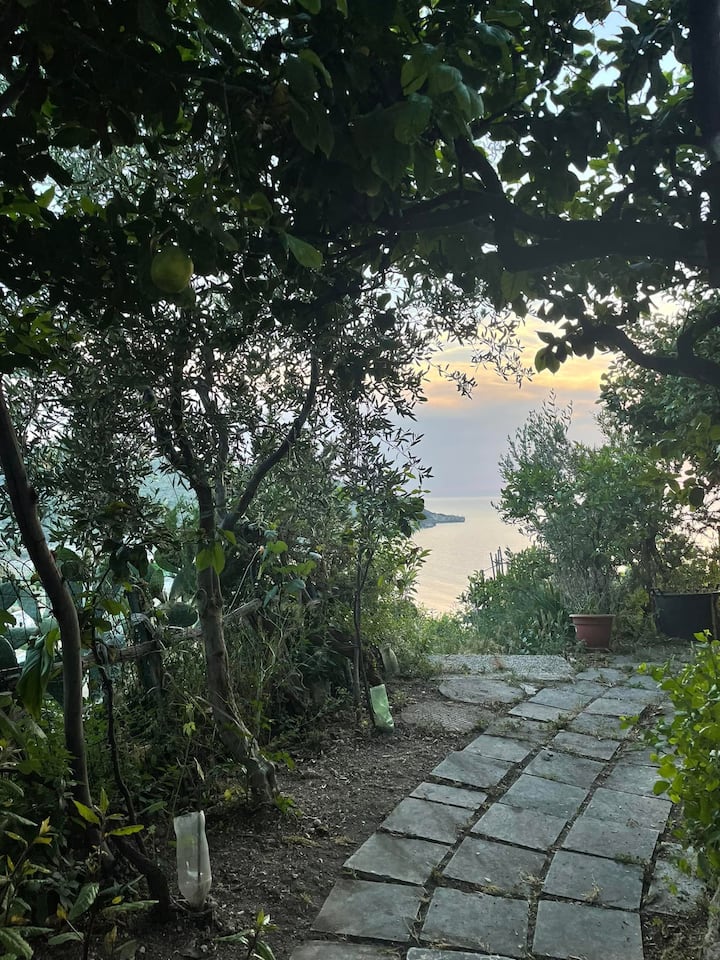 Bilocale - Vico del Gargano