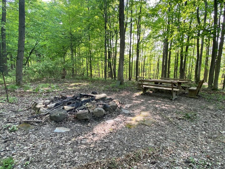 Hilltop Haven Near Lots Of Activities - Lake George, NY
