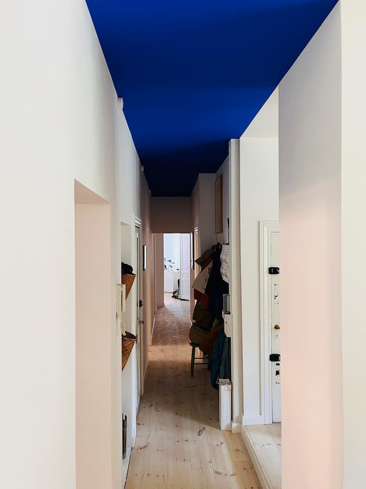 Bright Spacious Apartment - Copenhague