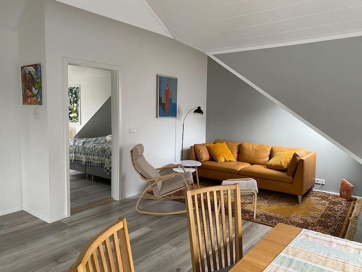 Beautiful Apartment In Downtown Reykjavík - Reykjavik