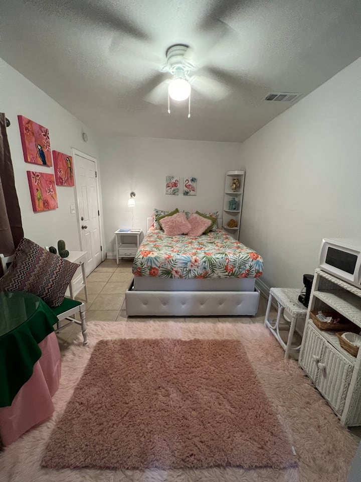 Cozy Studio Conveniently - Tampa