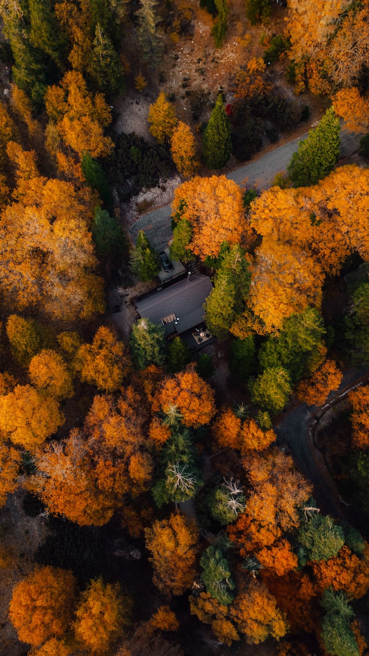 Stylish Cabin In Woods | Nature Escape - Lake Arrowhead, CA