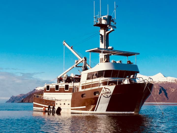 Vessel Based Bear View & National Park Visit Homer - Homer, AK