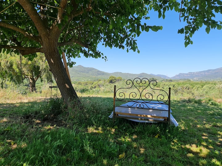 Doble Apartamento Para Grandes Familias - Reus