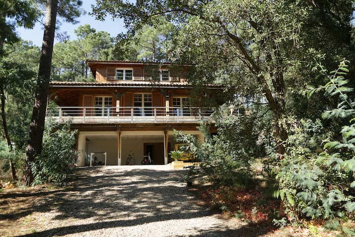 Villa En Bois Au Milieu Des Pins Landais - Hossegor