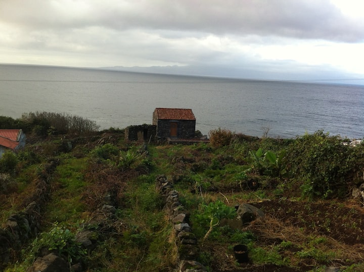 Refúgio Nos Bodes - Goat’s Refuge - Pico