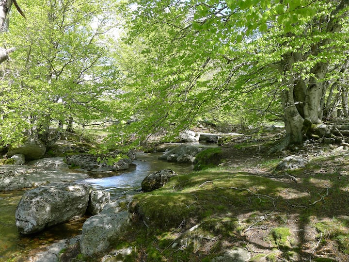 Lieu Atypique Pour Séjour Hors Des Sentiers Battus - Pont-de-Montvert-Sud-Mont-Lozère